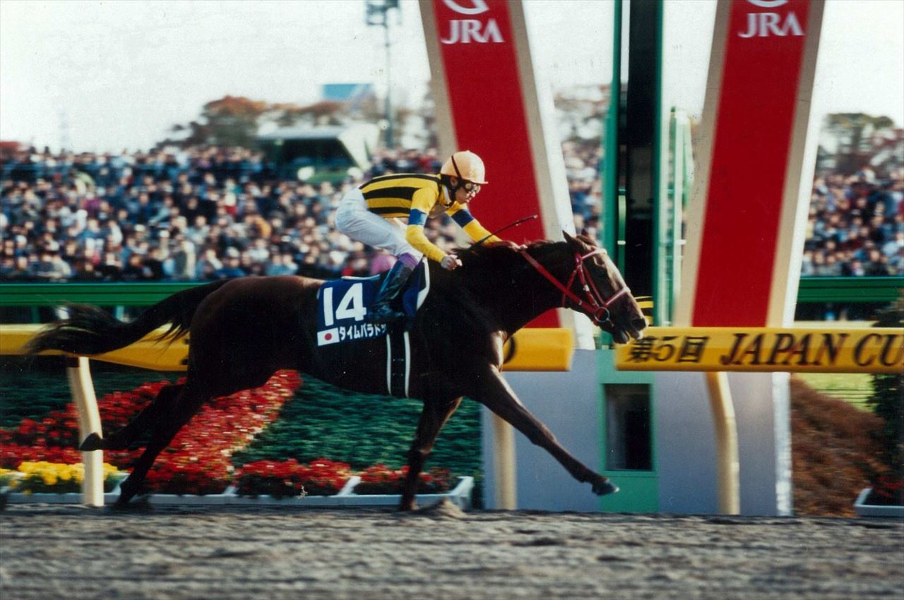 栄光の名馬たち【タイムパラドックス】 | グリーンチャンネルWeb