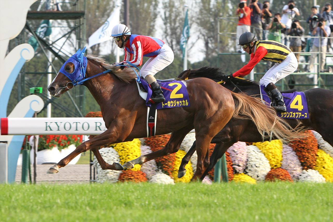 栄光の名馬たち【トーホウジャッカル】 | グリーンチャンネルWeb