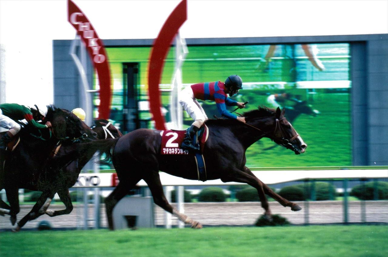 栄光の名馬たち【マチカネタンホイザ】 | グリーンチャンネルWeb